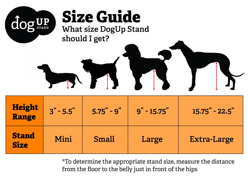 DogUp Stand – Keeps Dogs From Sitting While Grooming