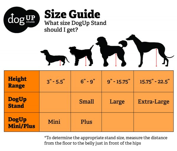 DogUp Stand – Keeps Dogs From Sitting While Grooming